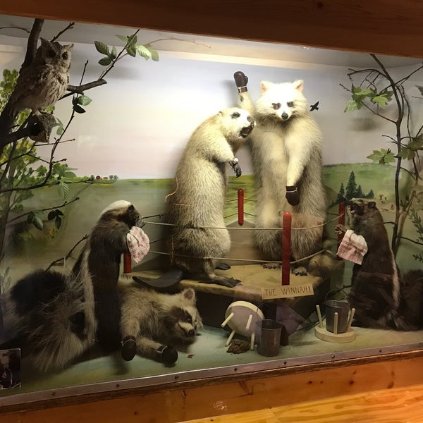 Moccasin Bar - Hayward, WI