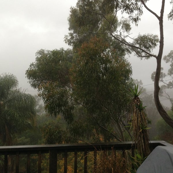 East Killara - Ku-ring-gai - 0 tips