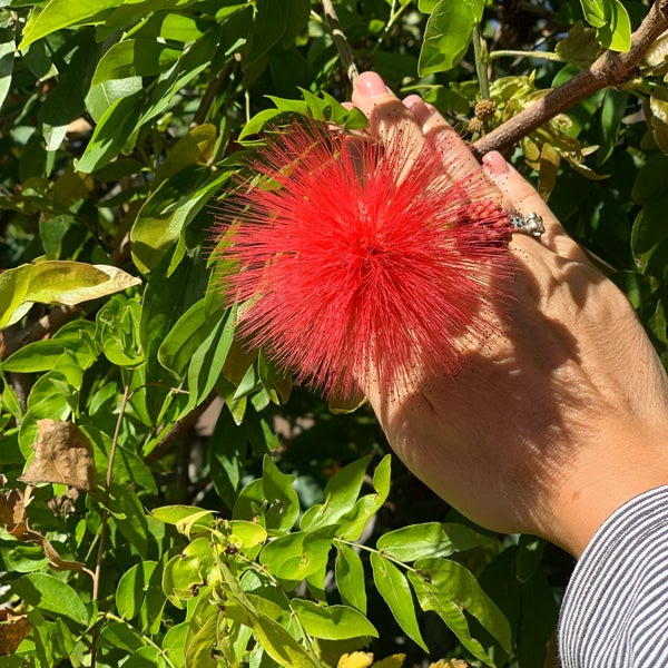 The Walter Harrison Law Library - 6 tips from 220 visitors