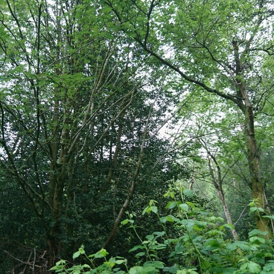 Graffham Camping & Caravanning Club - Campground in Petworth