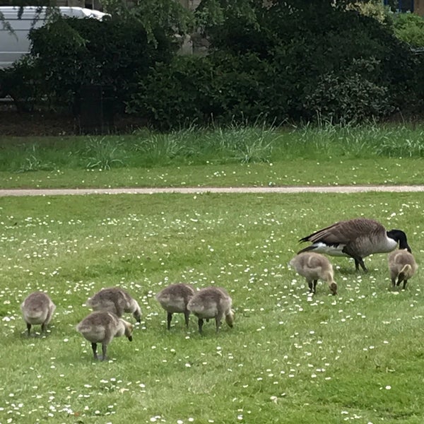 Enfield New River Loop