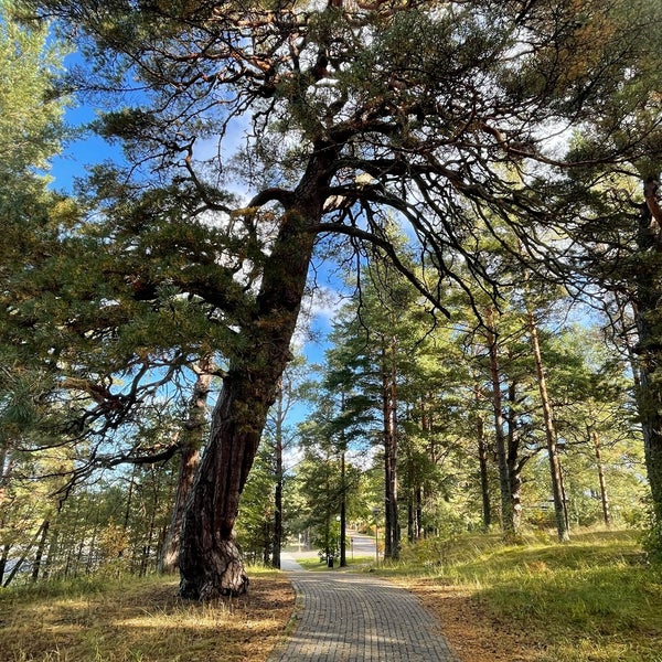 Võsu rand - Võsu, Lääne-Viru maakond