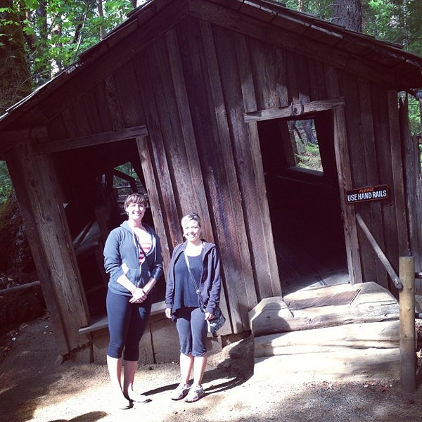 Vortex Houses Unique