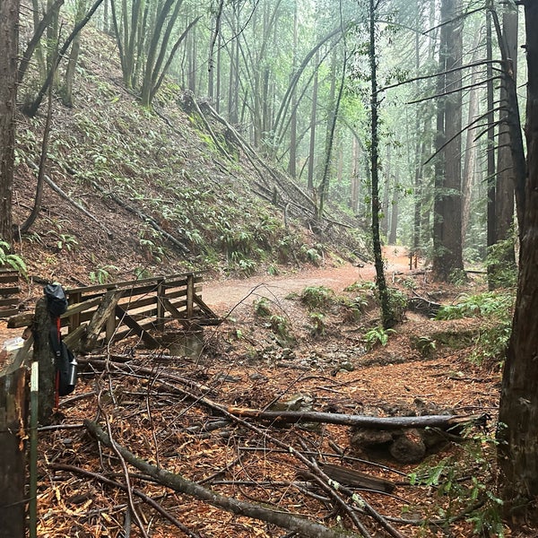 Redwood Park - Skyline Gate - Hiking Trail in Oakland