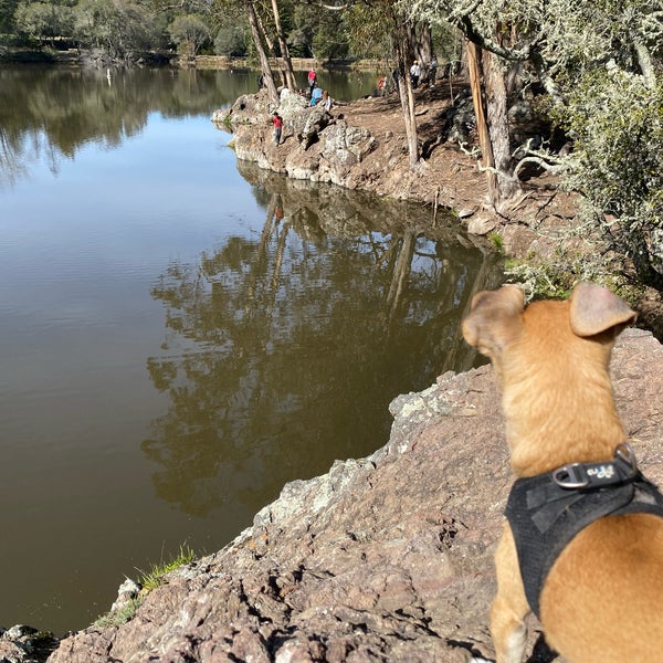 Lake Anza - 13 tips from 1020 visitors