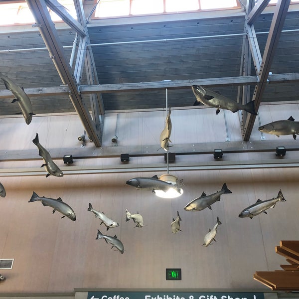 Oregon Coast Aquarium Gift Shop - Newport, OR