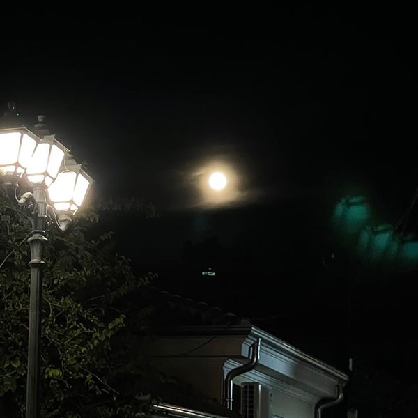 Pedonale, Shkodër - Shkodra, Qarku i Shkodrës