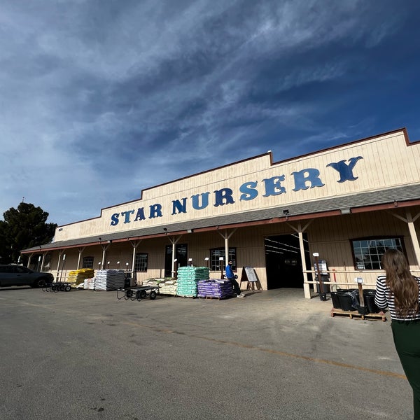 Star Nursery - Summerlin - 2 tips from 212 visitors