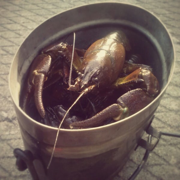 Rakari Recreation Complex - Resort