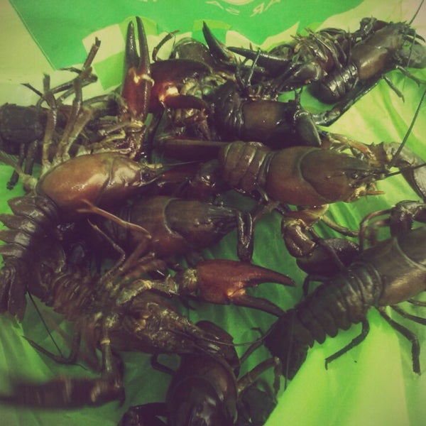 Rakari Recreation Complex - Resort