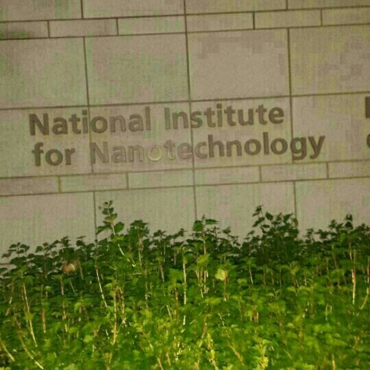 National Institute for Nanotechnology (NINT) - University of Alberta ...