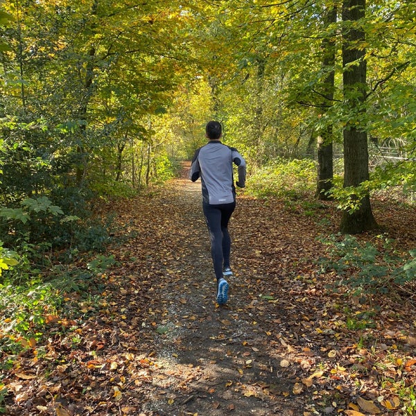 Sport Schema - 1 tip