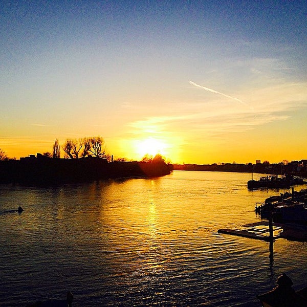 The Dove Pier - Harbor or Marina in Hammersmith Broadway