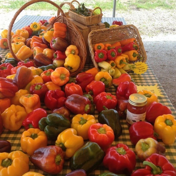 Sweet Corn Charlie - Granger, IN