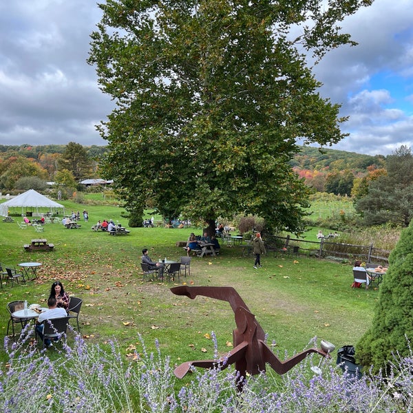 Hopkins Vineyard - Vineyard