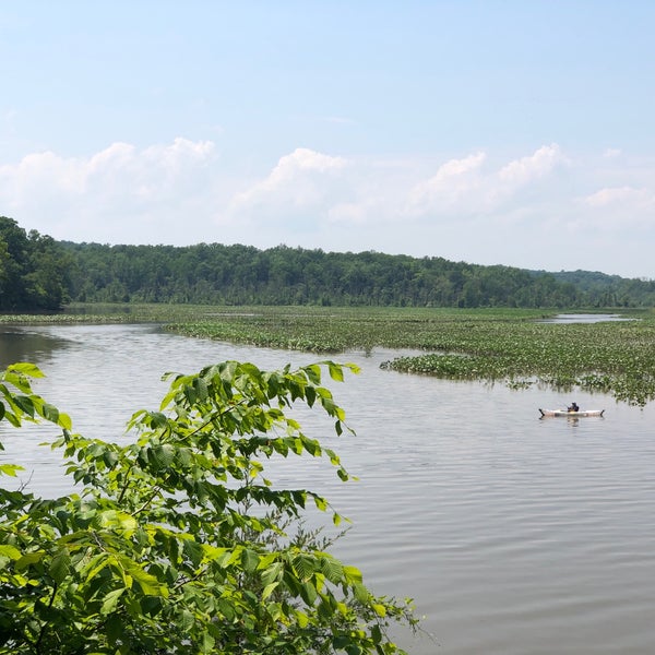 Photos at Pohick Bay Regional Park - 8 tips