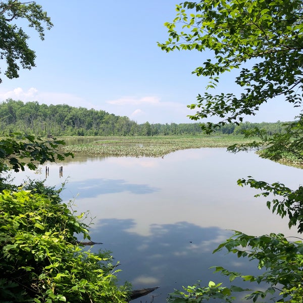 Photos at Pohick Bay Regional Park - 8 tips