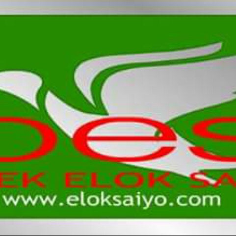 Bebek Goreng Elok Saiyo - Jl. Raya Wonocolo