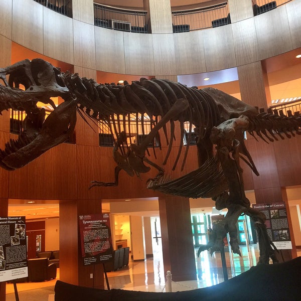 Marlene and Nathan Addlestone Library - Harleston Village - 34 tips