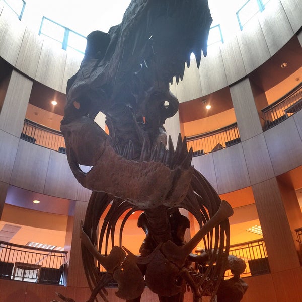 Marlene and Nathan Addlestone Library - Harleston Village - 34 tips