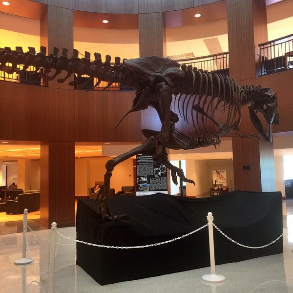 Marlene and Nathan Addlestone Library - Harleston Village - 34 tips