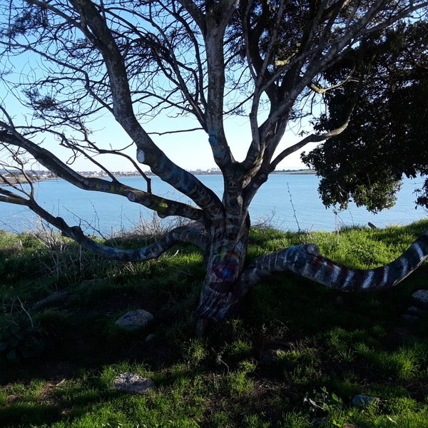 Photos at Albany Hill Park - Albany, CA