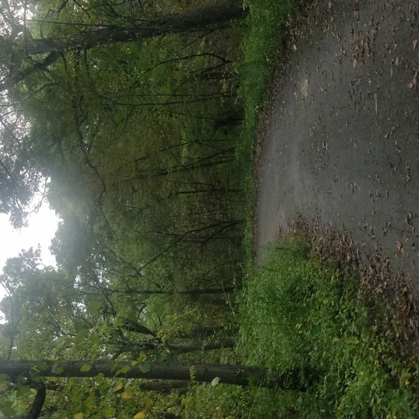 Red Gate Woods - 2 tips from 152 visitors