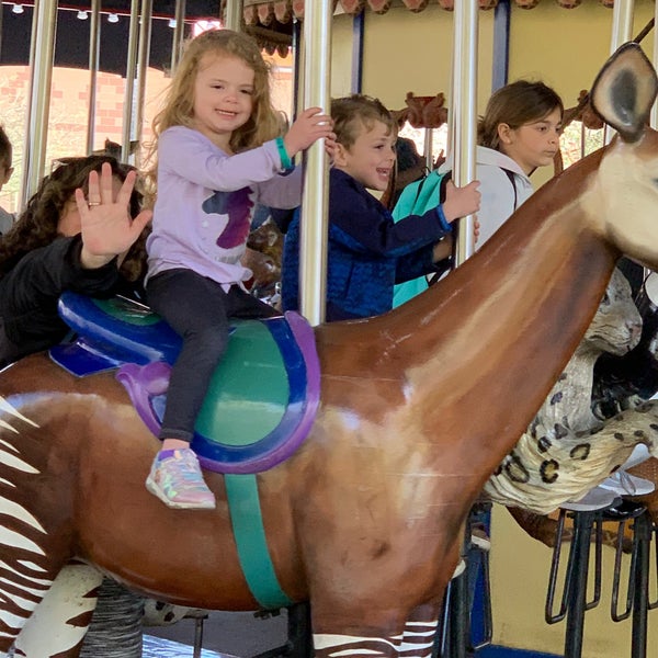 Houston Zoo Carousel - Medical Center - Houston, TX