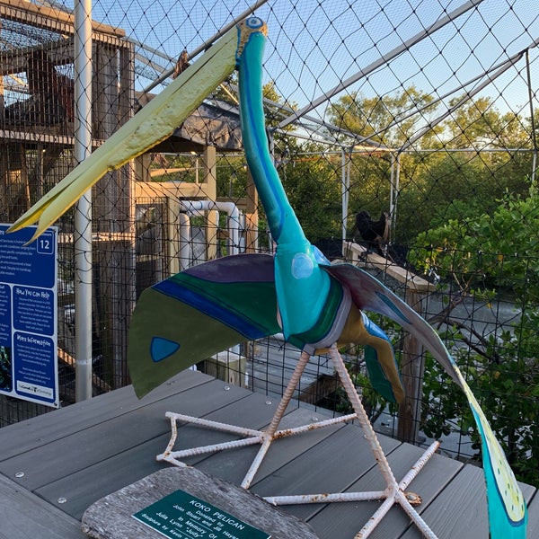 Florida Keys Wild Bird Center - Zoo in Tavernier