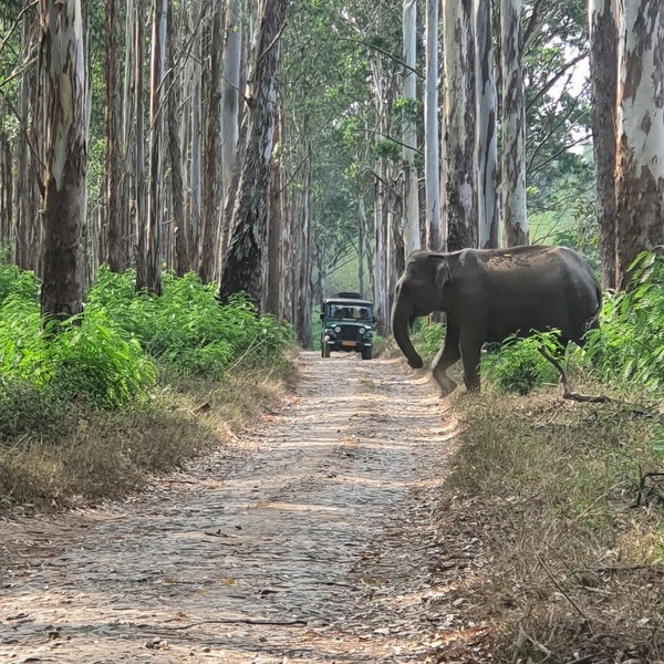 Muthanga Wildlife Sanctuary
