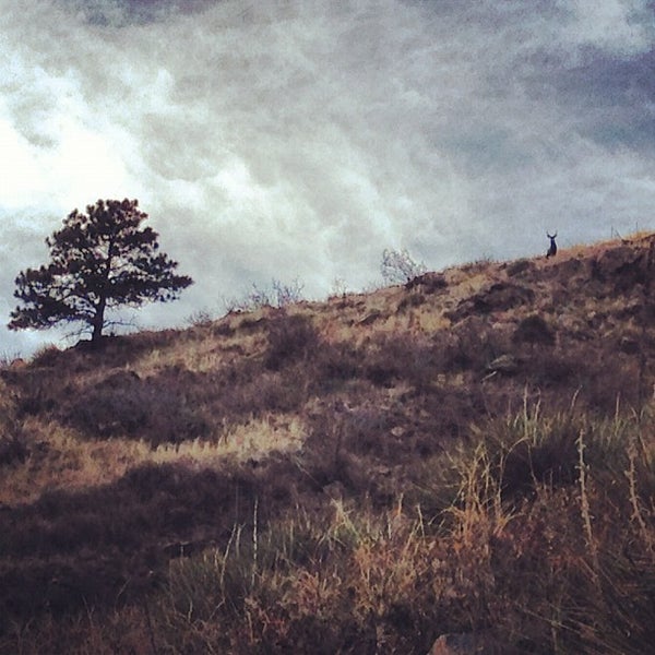 Photos at Apex Park Trailheads - Lookout Mountain - 0 tips