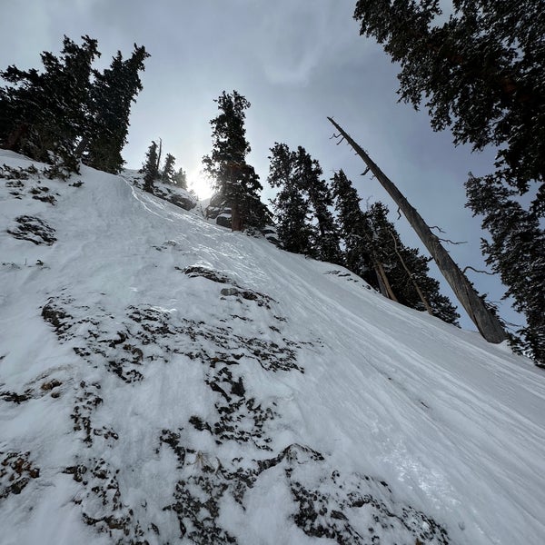 Telluride Ski Resort - Telluride, CO