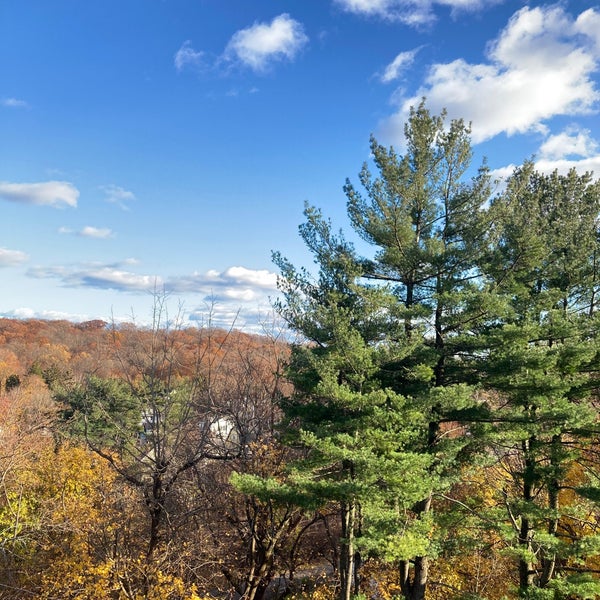 EF New York Academy - Tarrytown, NY