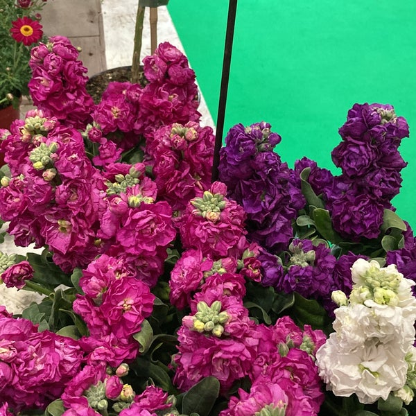 Brixia Forum - Convention Center in Brescia