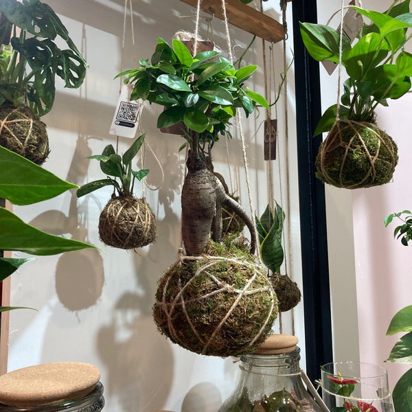 Brixia Forum - Convention Center in Brescia