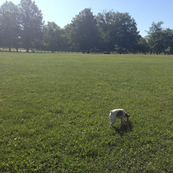 Knight Park - 8 tips from 489 visitors