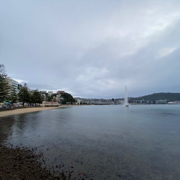 Oriental Bay - Oriental Bay - 21 tips