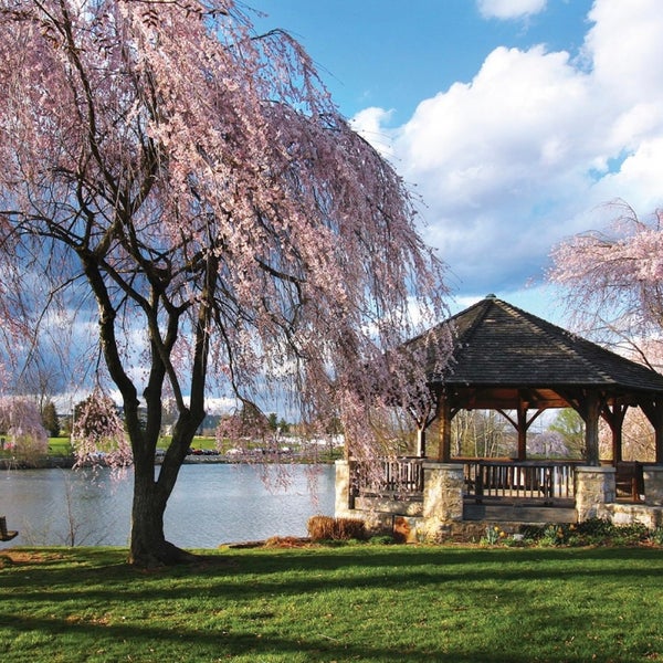 Virginia Tech - University in University