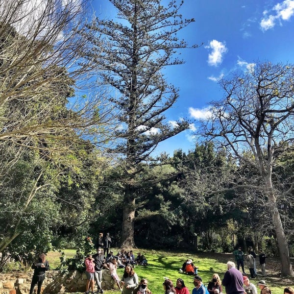 Earth Fair Food Market - Constantia - Corner St Joans Road & Timour ...