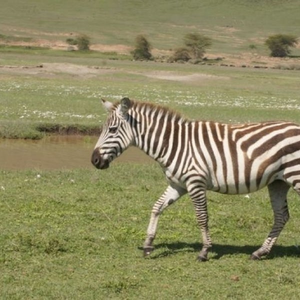 Selous Game Reserve - Other Great Outdoors