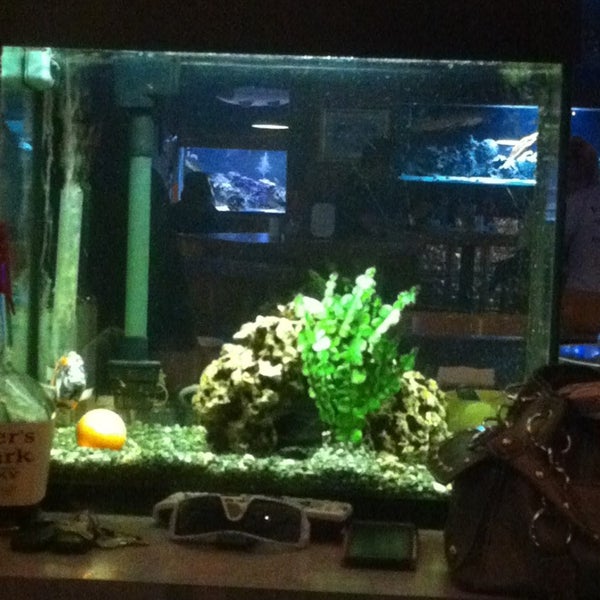 Grumpy Grouper (Now Closed) - 8 tips