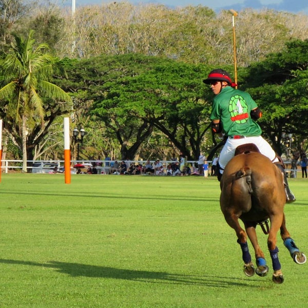 Swimming Pool, Jerudong Polo Club - Swimming Pool
