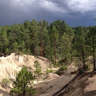 Le Foret Colorado Springs