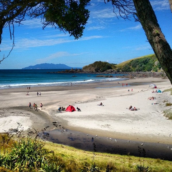 Tawharanui Regional Park - 4 tips from 167 visitors