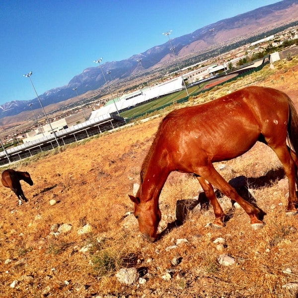 Damonte Ranch High School - 4 tips