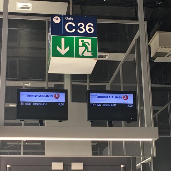 Gate C36 - Lohausen - 478 visitors