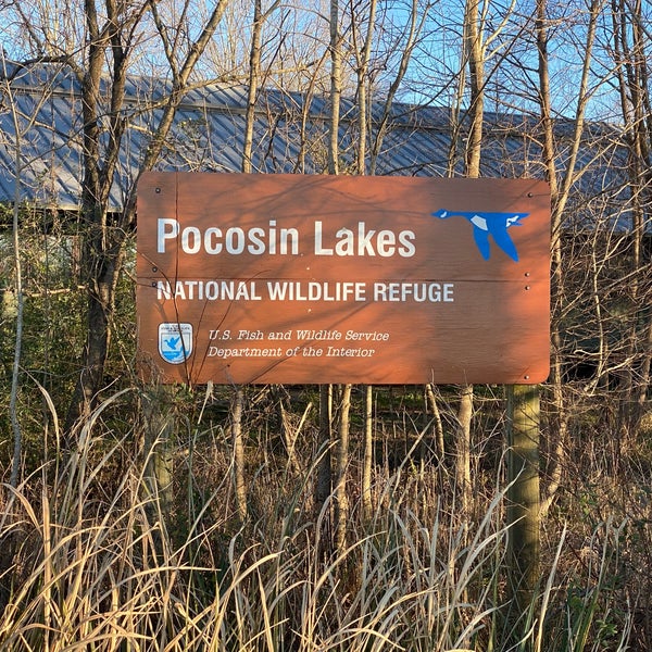 Pocosin Lakes National Wildlife Refuge - Other Great Outdoors