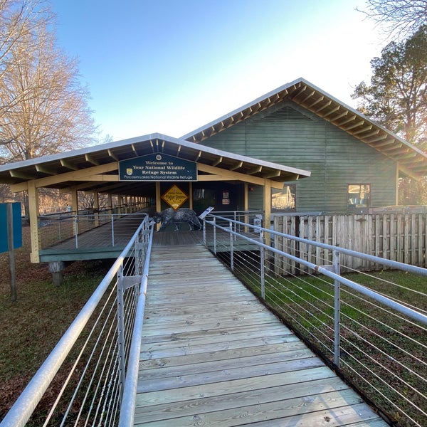 Pocosin Lakes National Wildlife Refuge - Other Great Outdoors