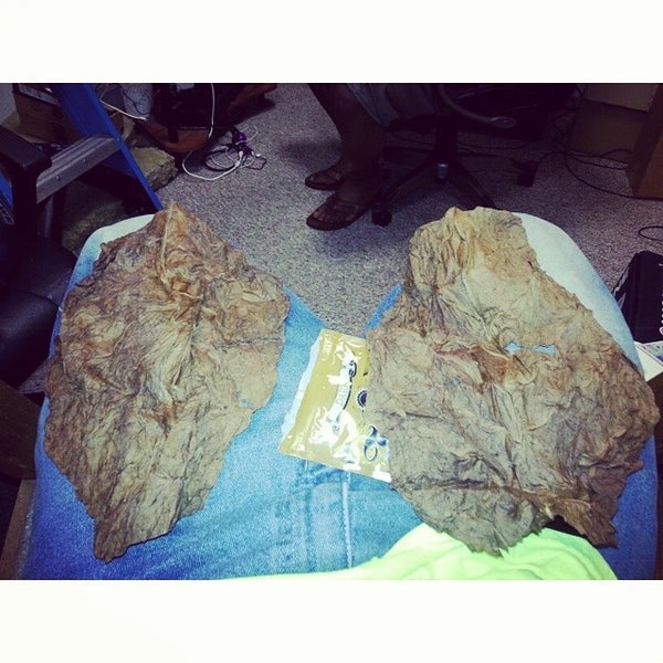 Olde Towne Drug Center - Pharmacy