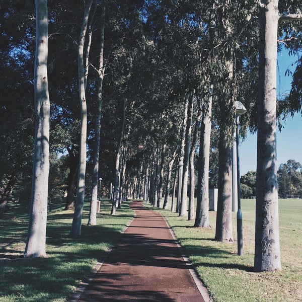 Curtin Stadium - College Stadium